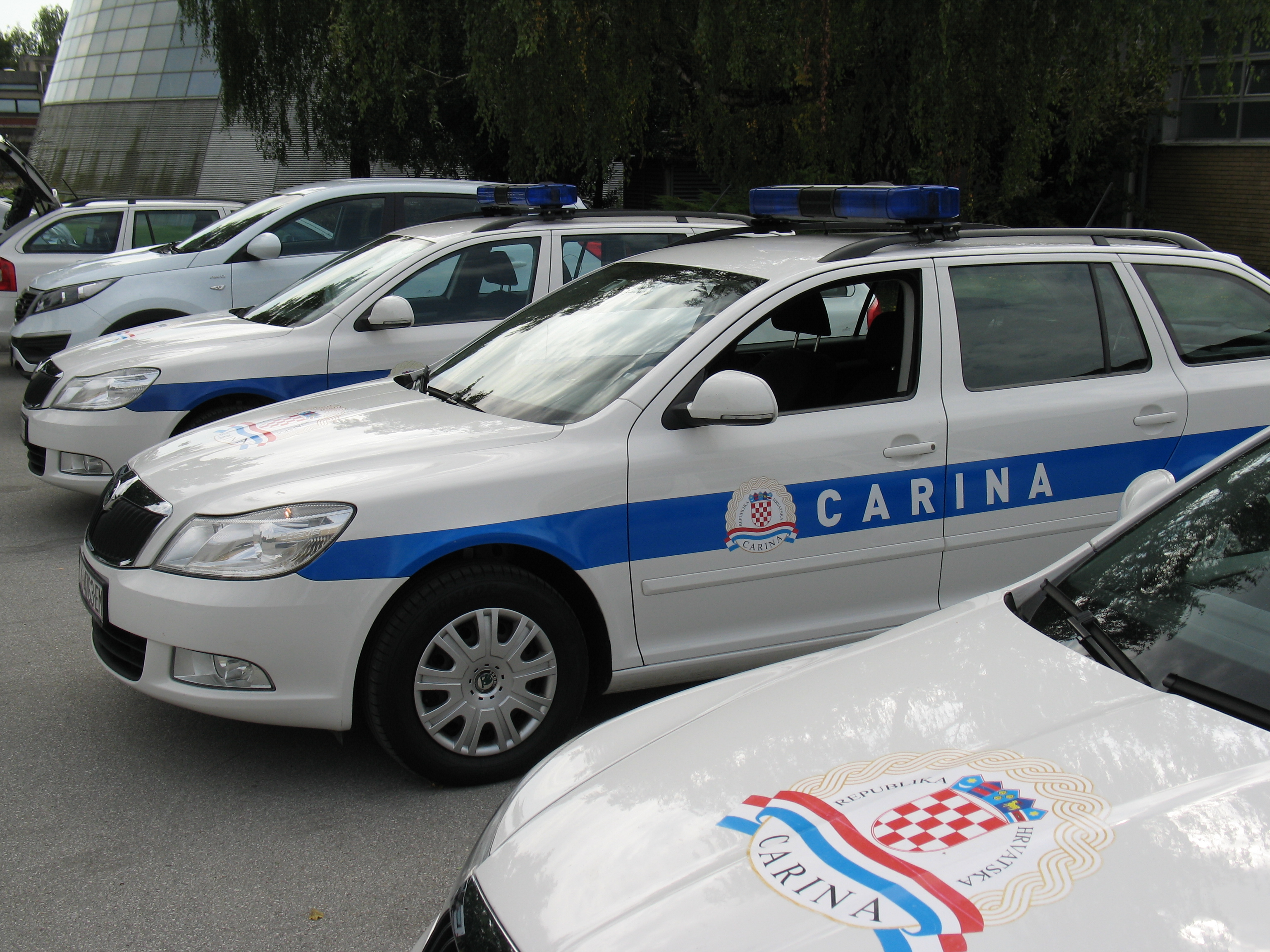 Carinska uprava - Djelokrug
